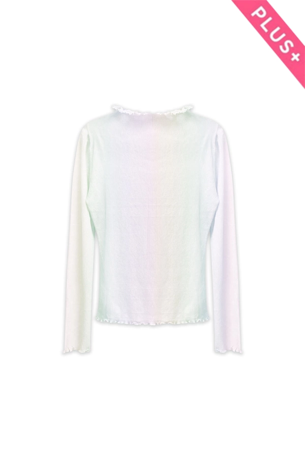 Plus Mesh Layering Top - Davi & Dani